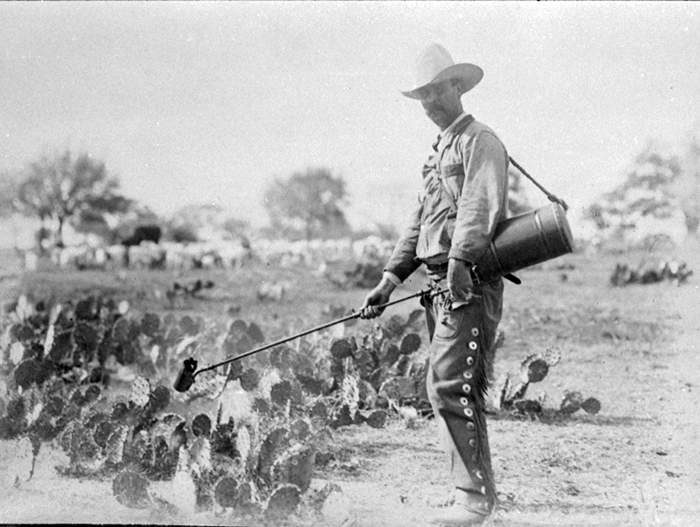 Ranching | Museum of the Coastal Bend | Victoria, TX
