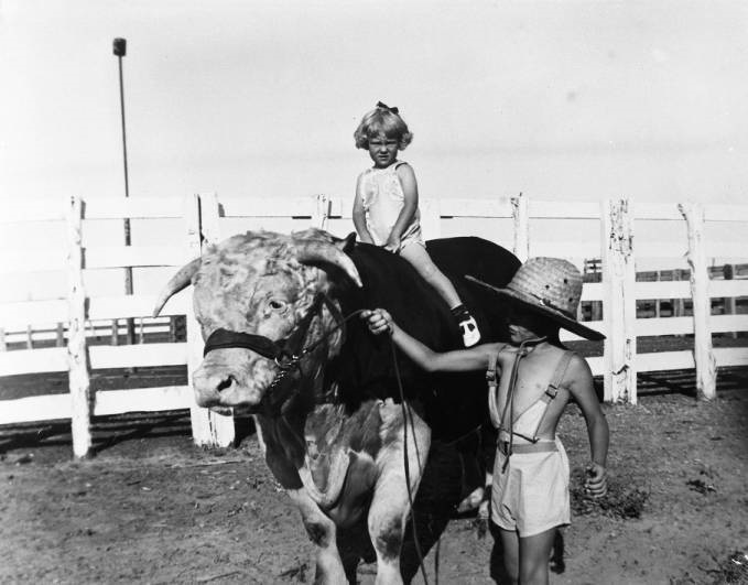 Ranching | Museum of the Coastal Bend | Victoria, TX
