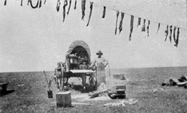 Ranching | Museum of the Coastal Bend | Victoria, TX